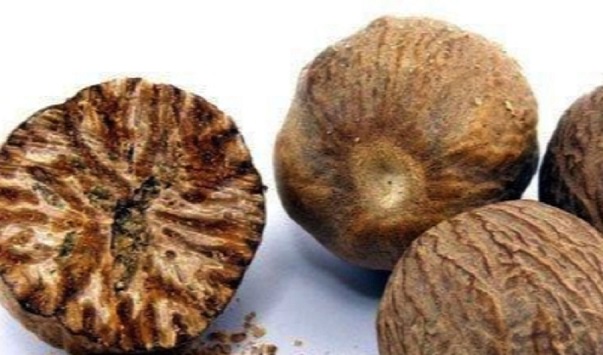 Pala: Dari Kuliner Hingga Obat – Media Online Green Indonesia